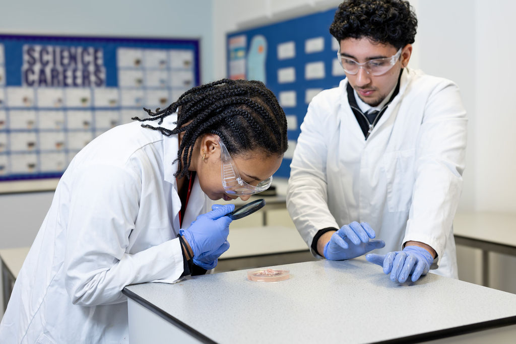 Welcome to SBUSixth - South Bank University Sixth Form